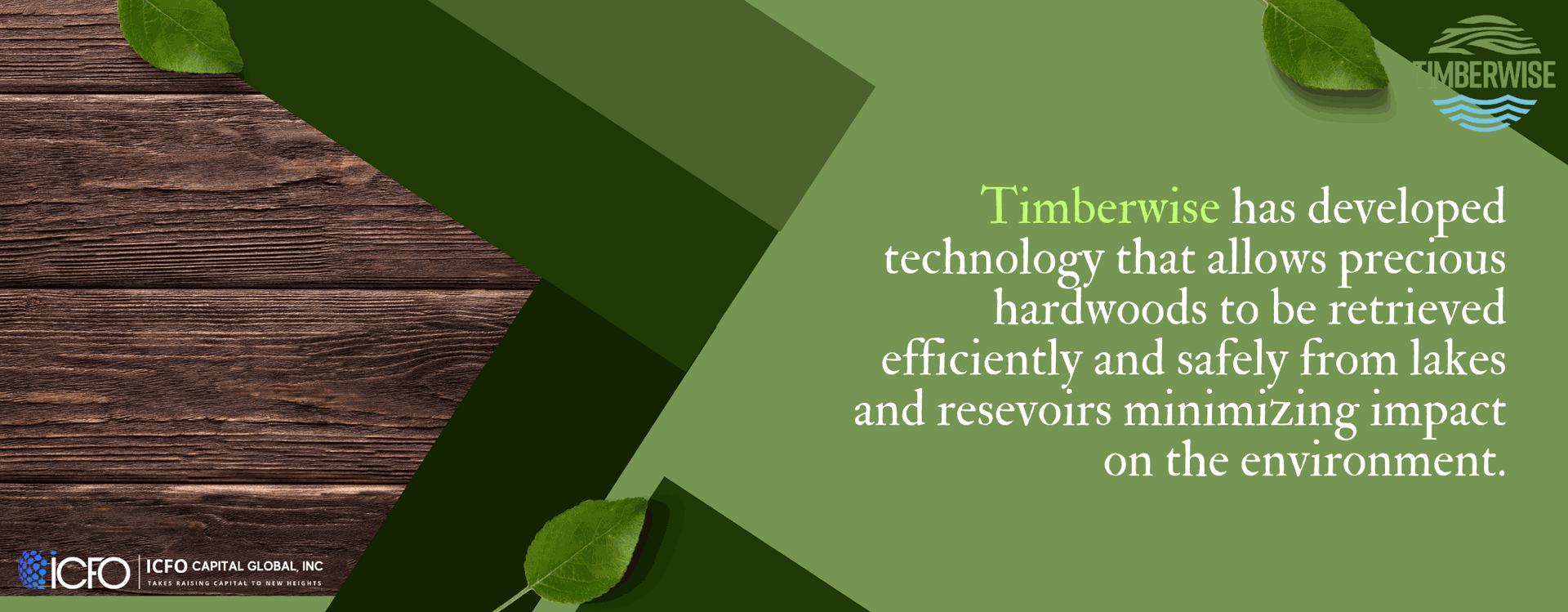 Recently, iCFO Capital Global and Timberwise Group partnered together ...